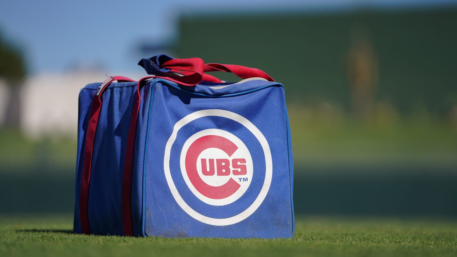 Cubs sign top prospect as international signing period begins | Chicago ...